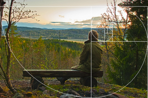 Golden Ratio — Compositional Rule For Eye Catching Photographs – APN ...
