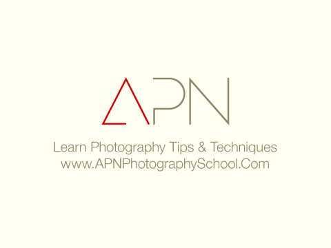 Best Of APN In 2008 – APN Photography
