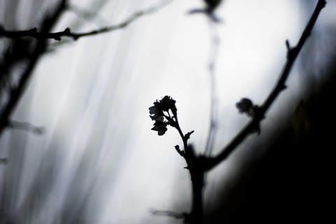 Lighting Effects — 28 Impressive Examples – APN Photography