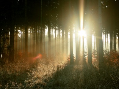 Lighting Effects — 28 Impressive Examples – APN Photography