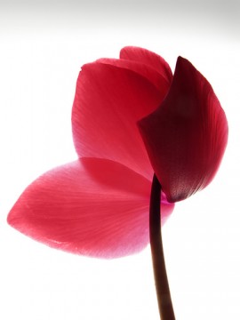 Lighting Effects — 28 Impressive Examples – APN Photography