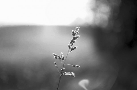 Lighting Effects — 28 Impressive Examples – APN Photography