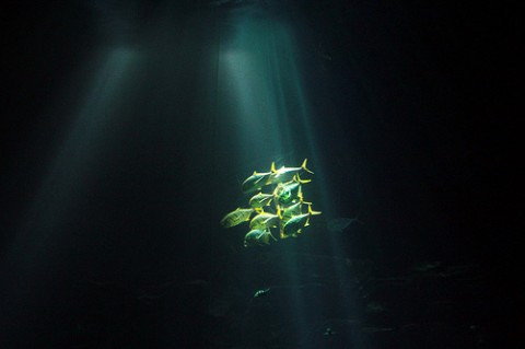 Lighting Effects — 9 Special Effects That Can Be Achieved With Basic ...