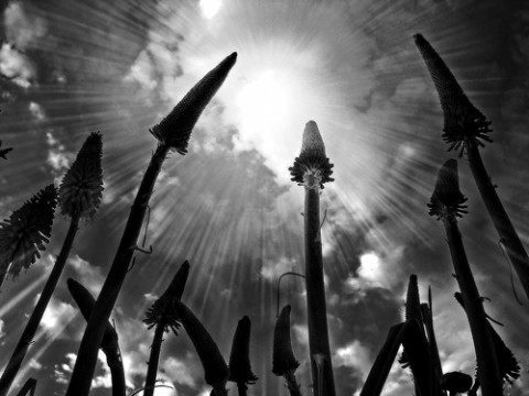 Lighting Effects — 28 Impressive Examples – APN Photography