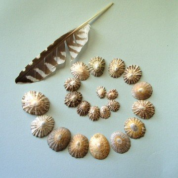 15 Power Composition Tips Using Design Principles — Part II – APN ...