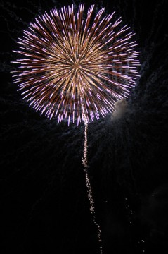 30 Fantastic Examples Of Sparkling Fireworks – APN Photography