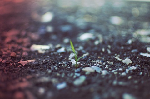 5 Special Effect Filters For Wonderful & Crazy In-camera Effects – APN ...