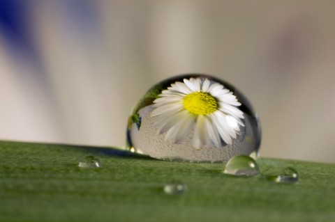 7 Creative Ways To Photograph Water Droplets And Splash Scenes – APN ...