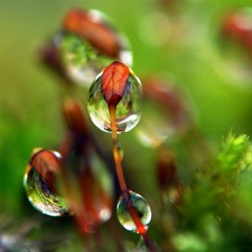 Shooting Water Droplets — 51 Stunning Examples Of Water Droplet ...
