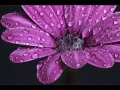 Image Stacking — 15 Finest Examples Of Focus Stacking – APN Photography