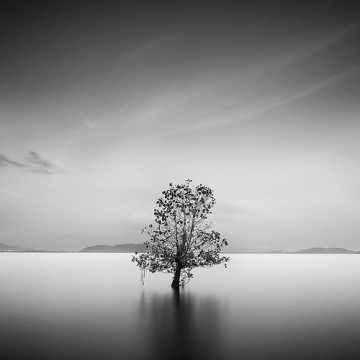 25 Elegant & Beautiful Examples Of Simplicity And Minimalism – APN ...