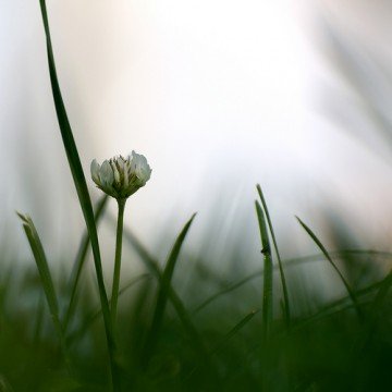 25 Elegant & Beautiful Examples Of Simplicity And Minimalism – APN ...