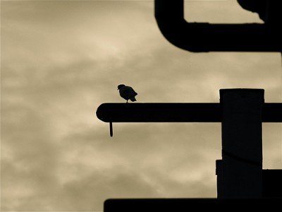 25 Elegant & Beautiful Examples Of Simplicity And Minimalism – APN ...