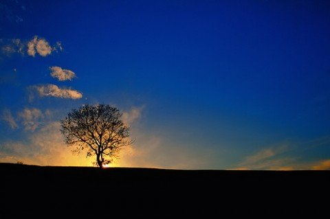 25 Elegant & Beautiful Examples Of Simplicity And Minimalism – APN ...