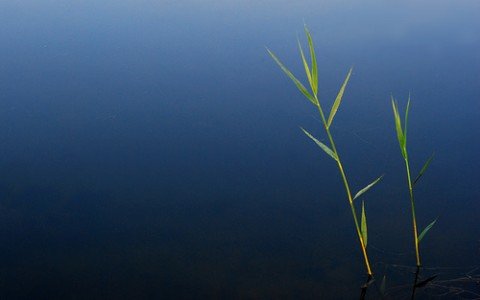 25 Elegant & Beautiful Examples Of Simplicity And Minimalism – APN ...