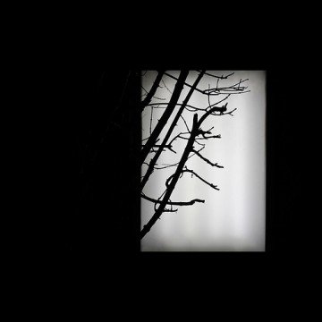 25 Elegant & Beautiful Examples Of Simplicity And Minimalism – APN ...