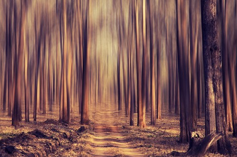 30 Stunning Examples Of Surreal Photography – APN Photography