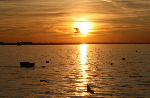 15 Spellbinding Examples Of Golden Hour Photography – APN Photography