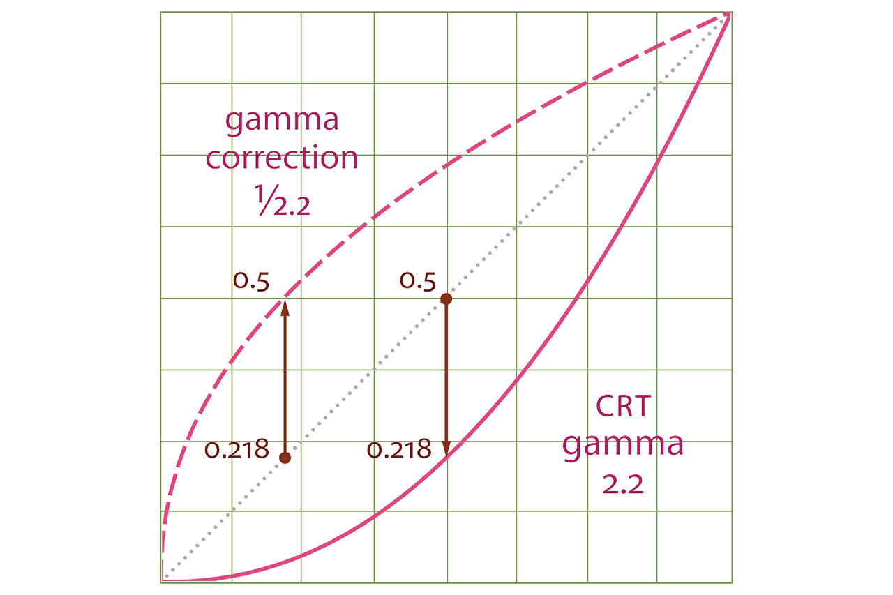 Gammafunctiongraph Apn Photography And Web Design